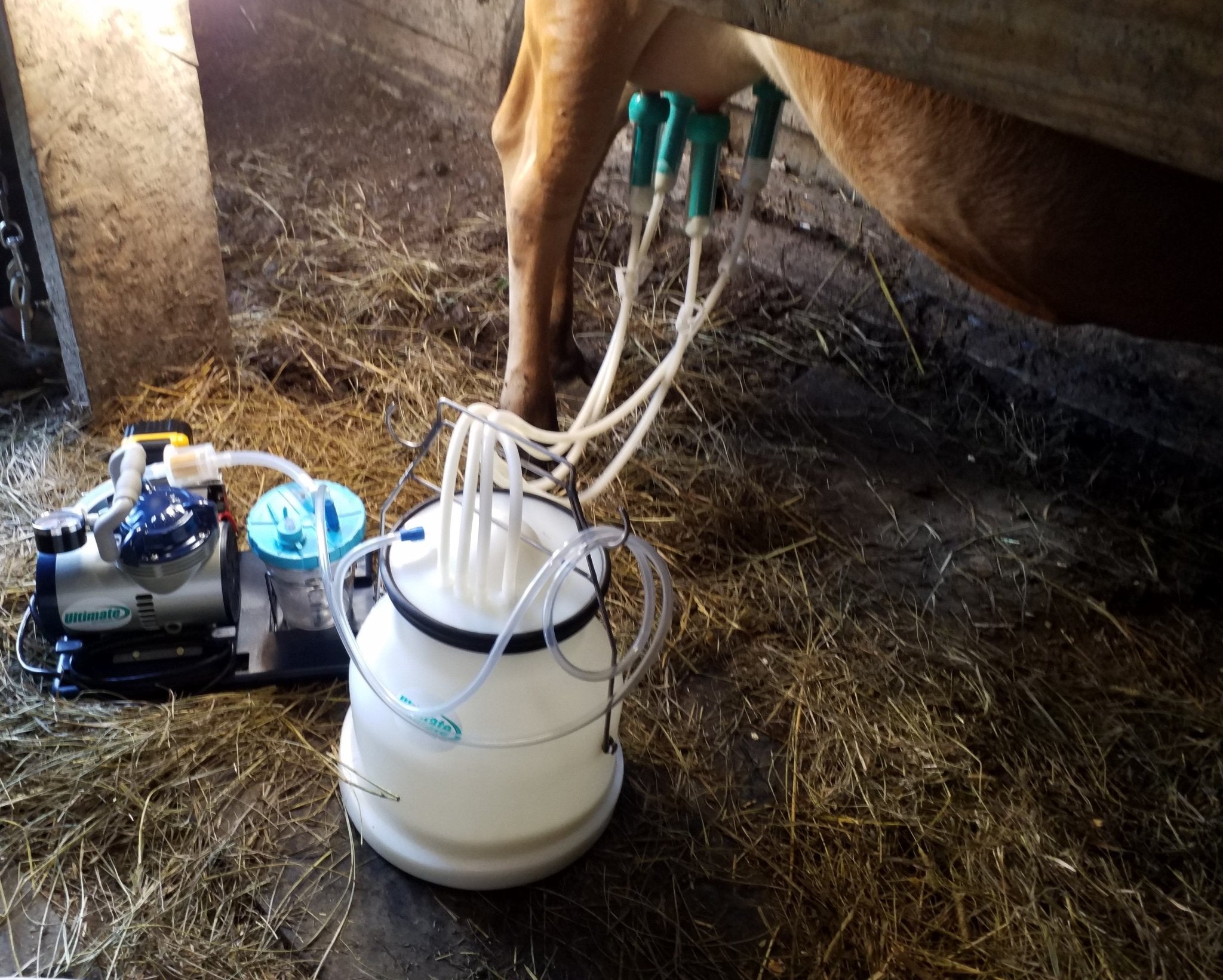 ULTIMATE EZ™ MILKERMilkersShenandoah Homestead Supply