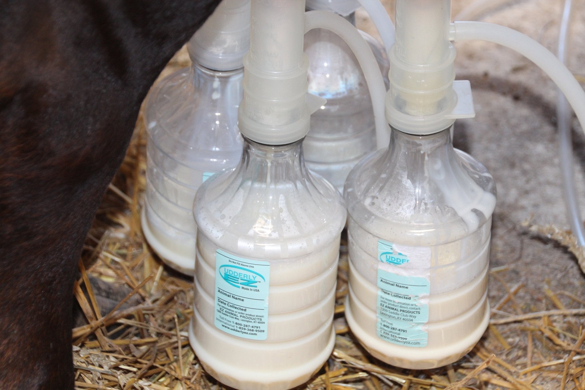 ULTIMATE EZ™ MILKERMilkersShenandoah Homestead Supply